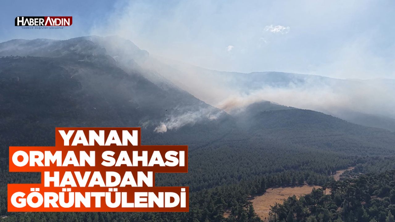 Yanan orman sahası havadan görüntülendi - Aydın Haberleri | Güncel ve Son Dakika Gelişmeleri ...